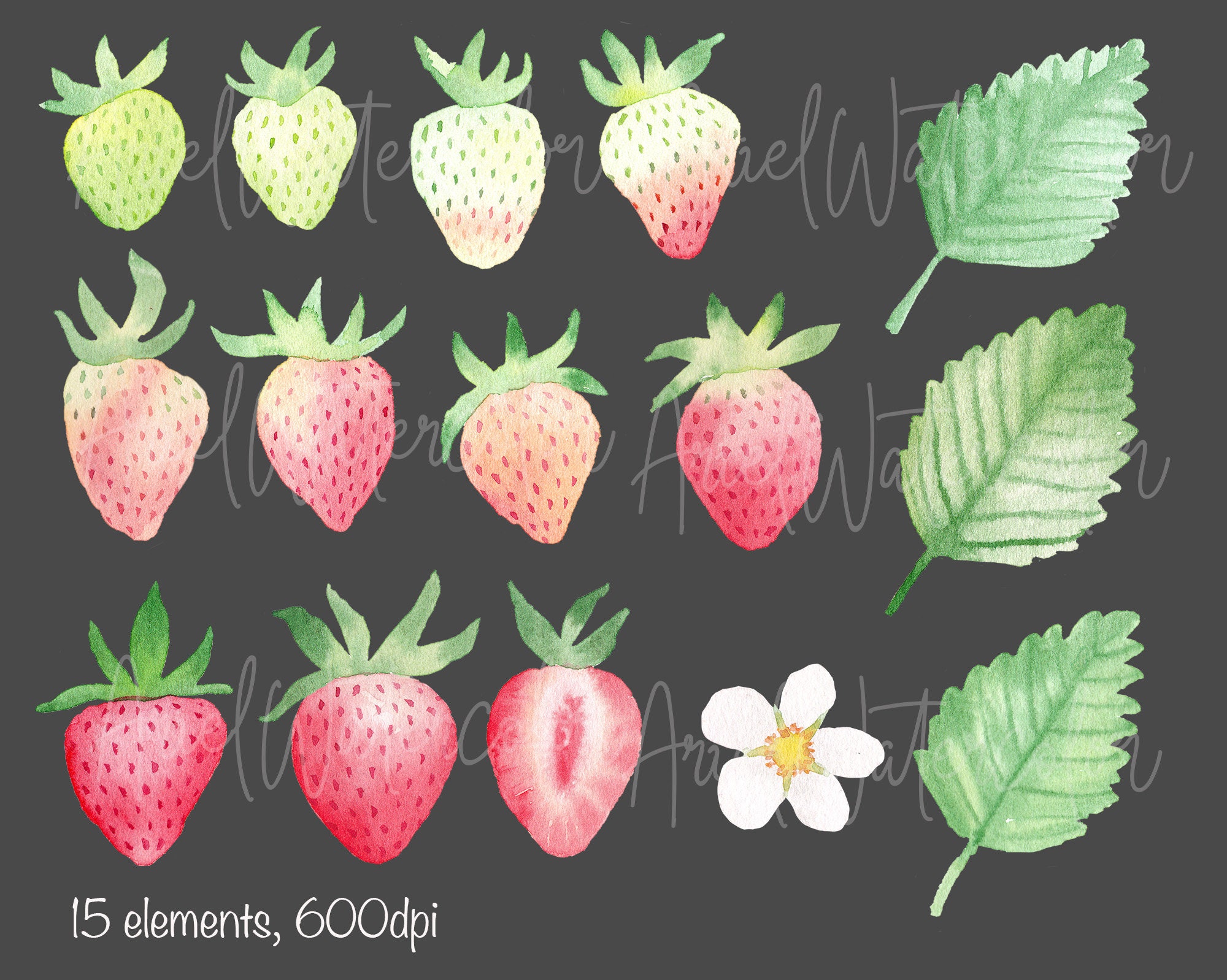 Watercolor Strawberries Clipart, Frames, Png Files - Etsy