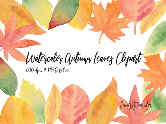 Watercolor Autumn Leaves Clipart Png Files 600dpi | Etsy