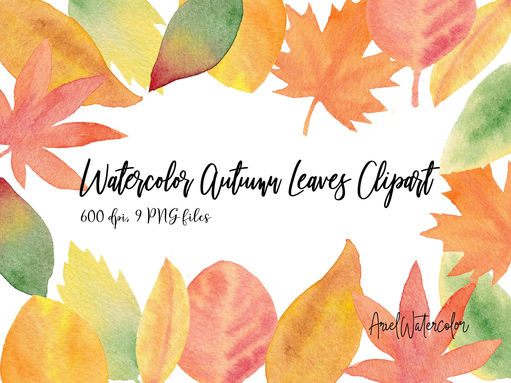 Watercolor Autumn Leaves Clipart, Png Files, 600dpi - Etsy