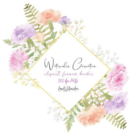 Watercolor Border Carnation Carnation Flowers Border Floral Template,