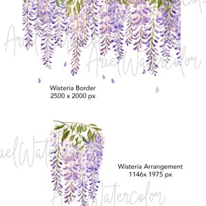 Watercolor Wisteria Clipart, PNG, Floral Arrangements, Borders, Spring ...