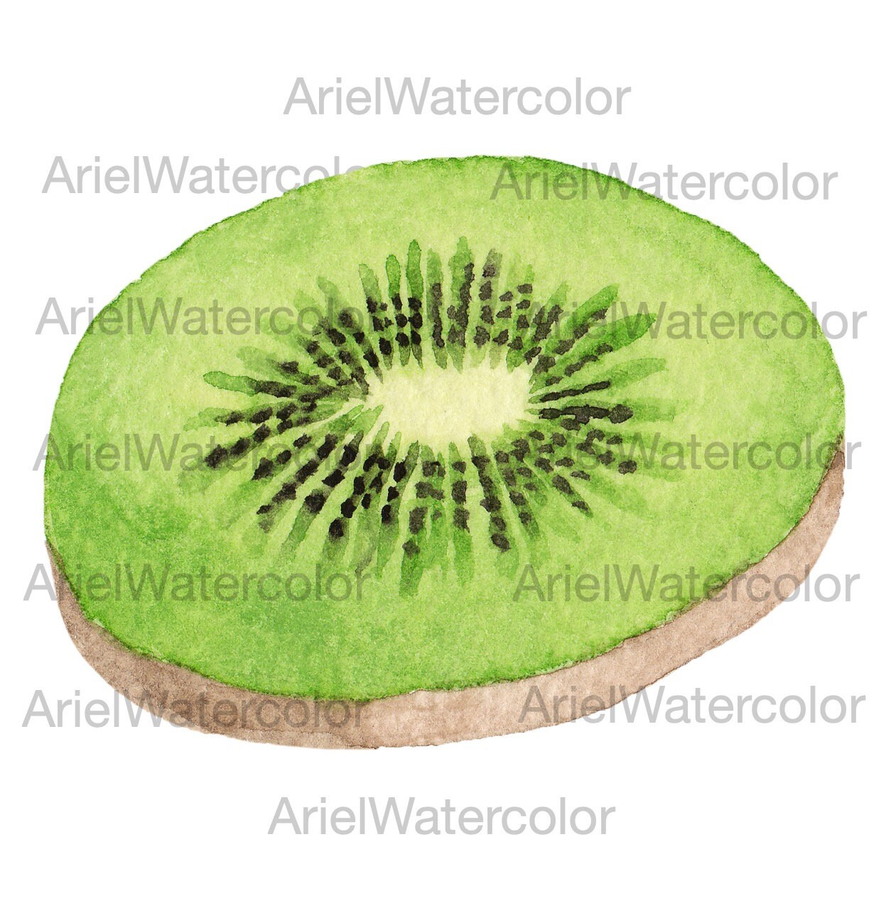 Watercolor Kiwi Clipart-png Files,hand Painted,fruits - Etsy