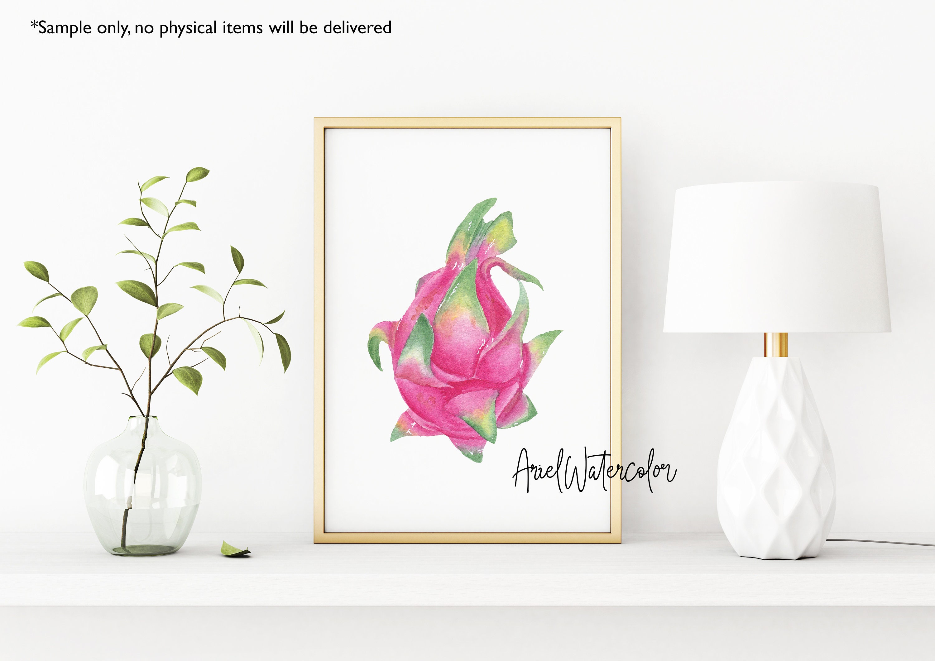 Watercolor Dragon Fruit Clipart, Pitaya, Summer Fruit, Hand Painted ...