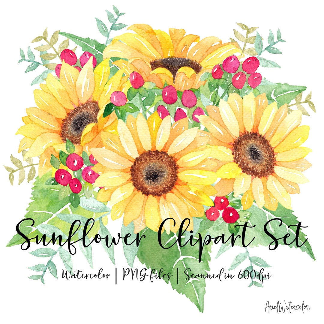 Watercolor Sunflower Clipart-png Files,hand Painted,floral,red Berries ...