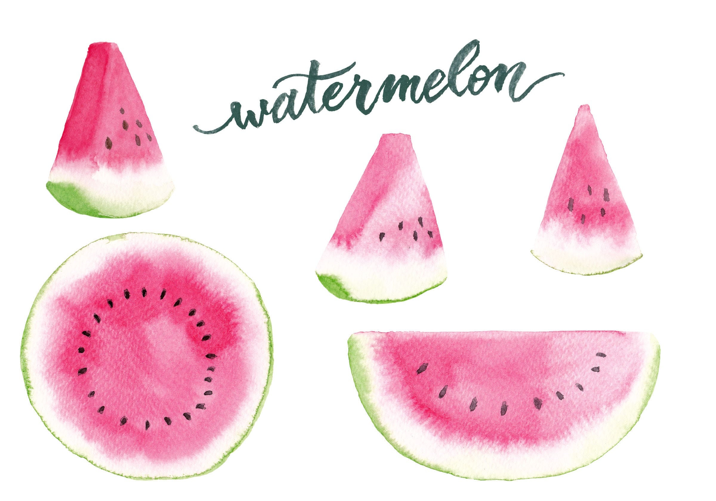 Watercolor Watermelon Clipart-png Files,hand Painted,summer Fruits - Etsy