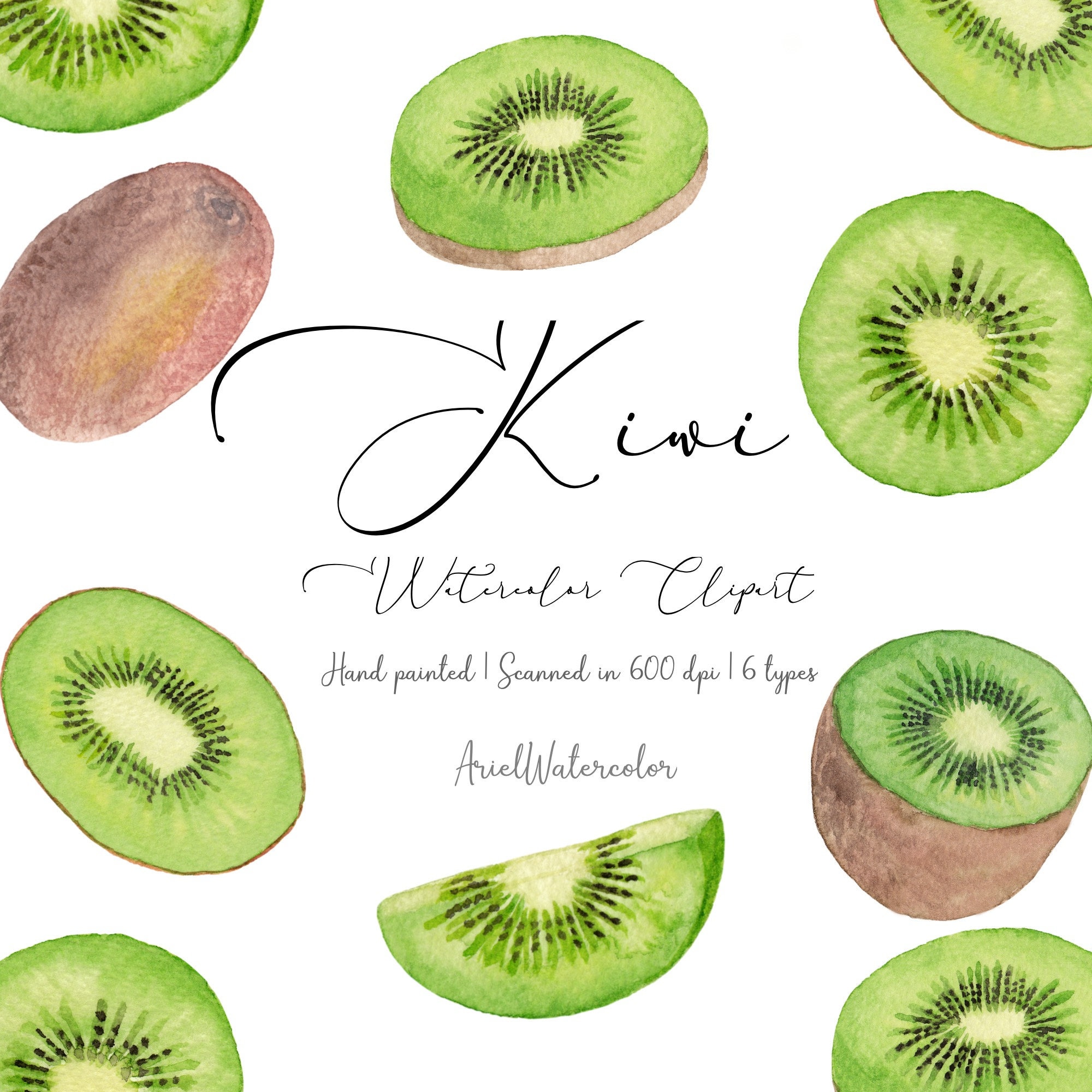 Watercolor Kiwi Clipart-png Files,hand Painted,fruits - Etsy