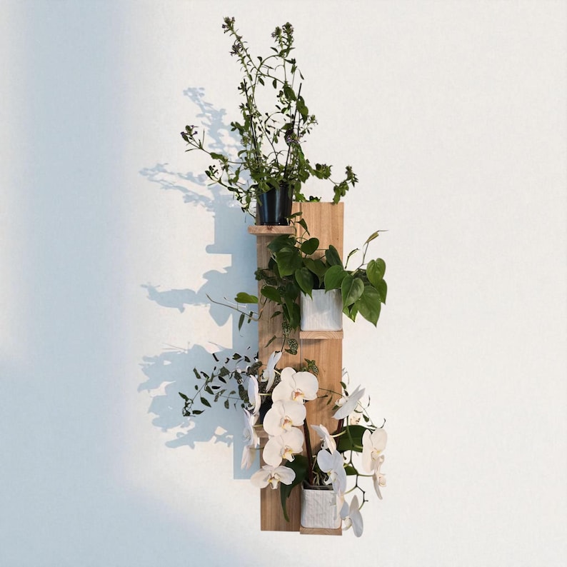 Wall Mounted Plant Shelf | Cedar Accent Wall Shelf | Modern Wall Shelf ...