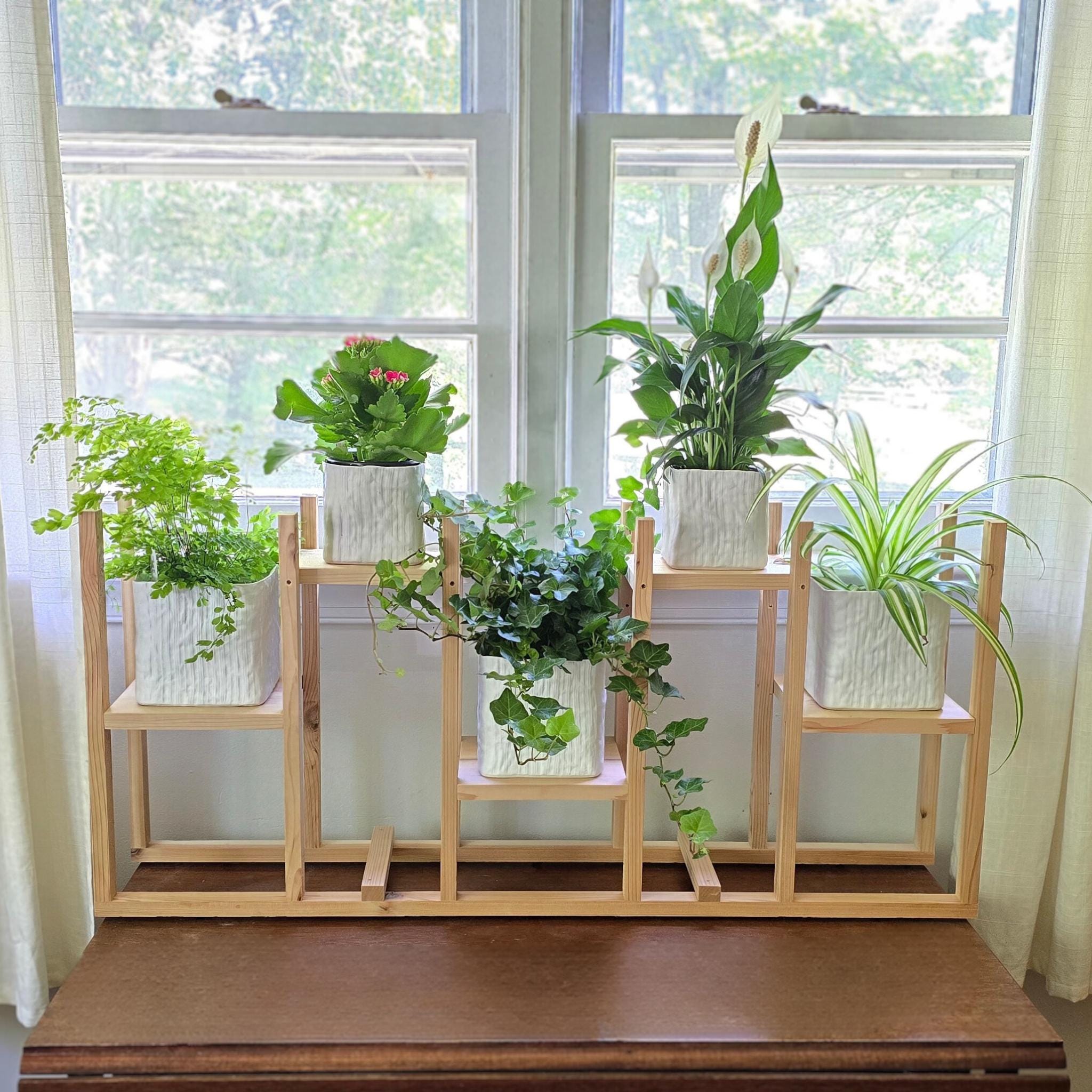 Wooden Plant Stand | Indoor Plant Stands | Modern Plant Display | Cedar ...