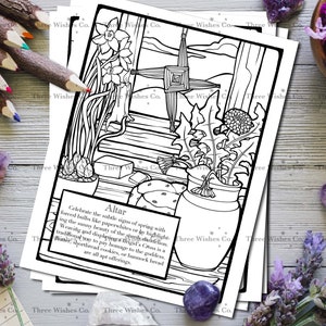 Imbolc Coloring Page, Candlemas, Sabbat, Wheel of the Year, Coloring ...