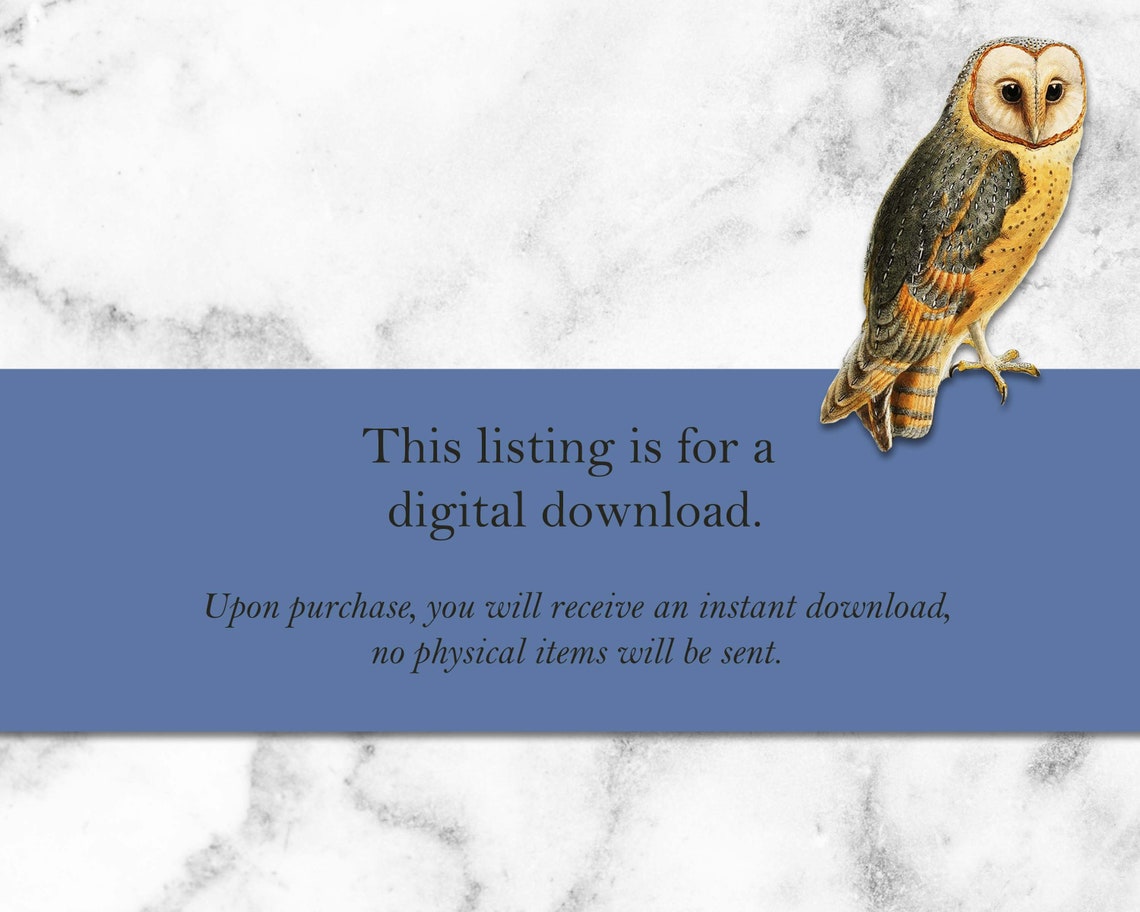 Goddess Collage Sheets, Athena, Minerva, PNG, Clipart, Digital Collage ...