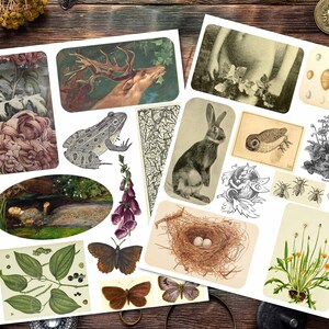 Digital Green Witch Grimoire Scrapbook, Witch Collage, Spell Book ...