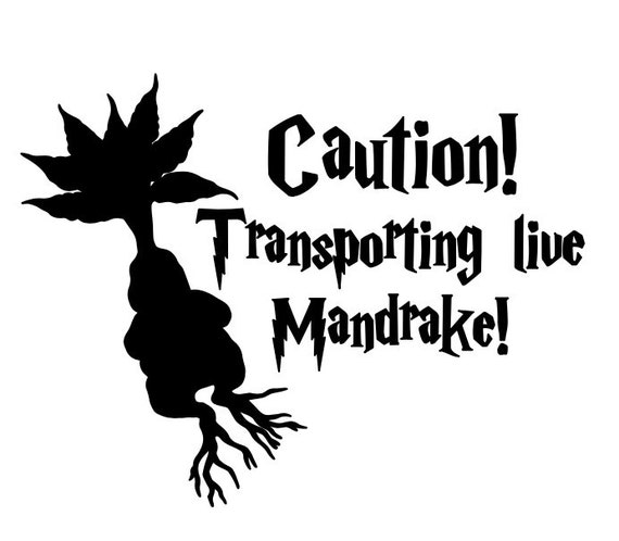 Transporting Mandrake Decal - Etsy