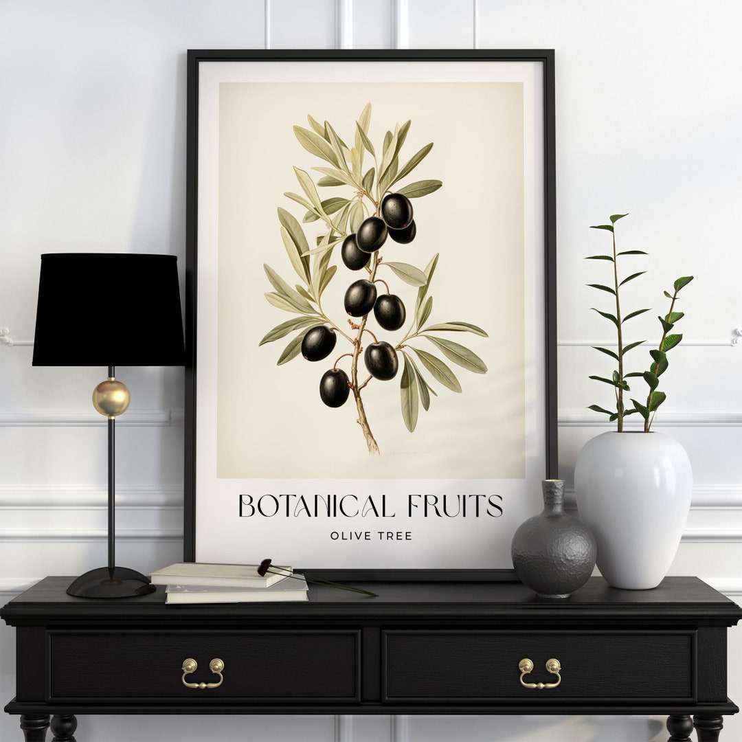 Olive Branch Vintage Botanical Art Print, Black Olive Tree Fruit Poster ...