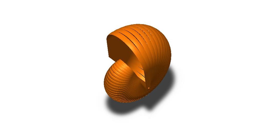 3D Print Ornament Nautilus Shell, Home Decor Printing Model (STL / 3MF ...