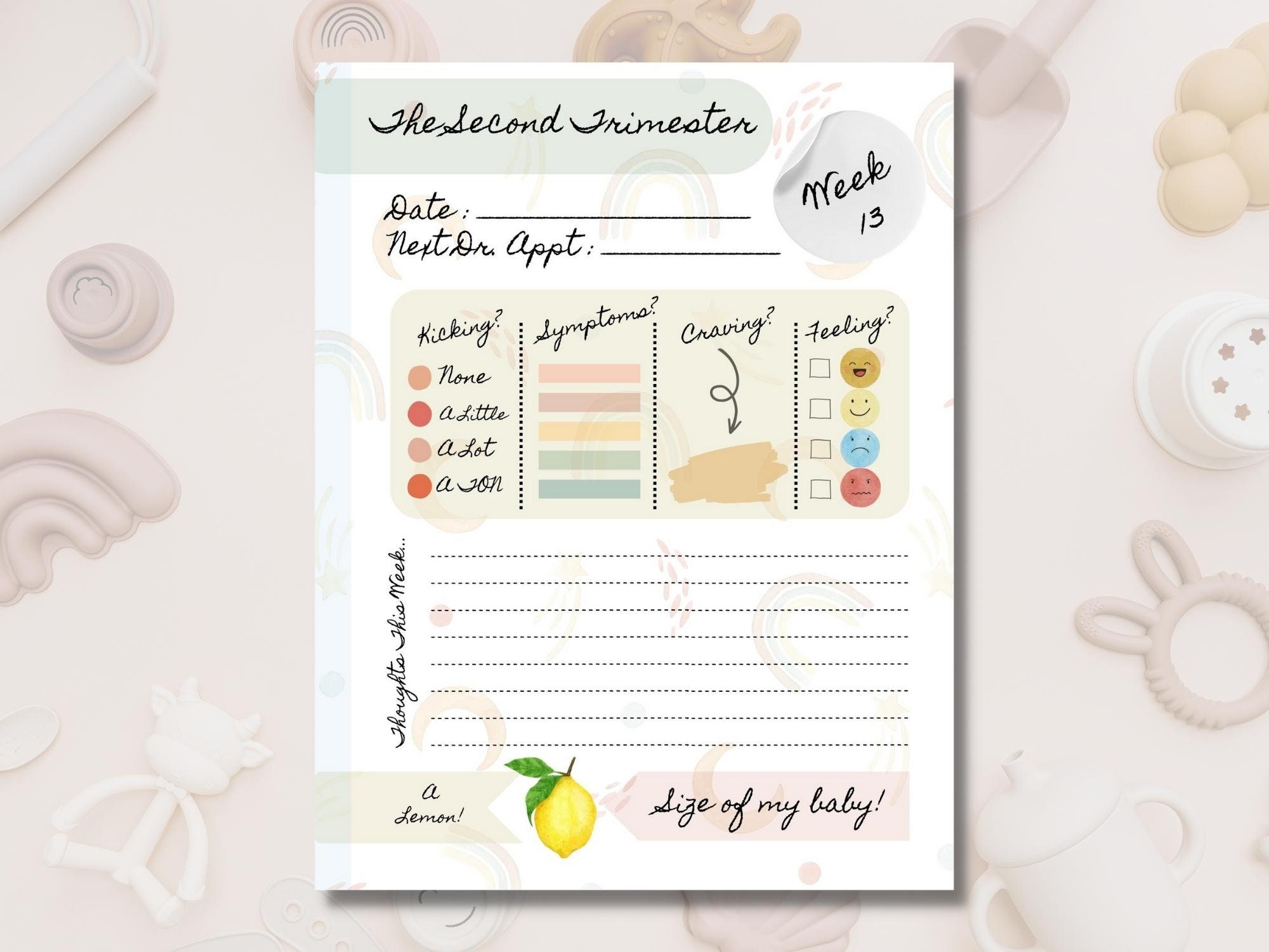 Pregnancy Journal Pregnancy Planner Mood Tracker Symptom - Etsy