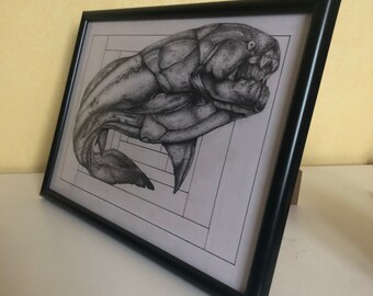 Dunkleosteus Drawing