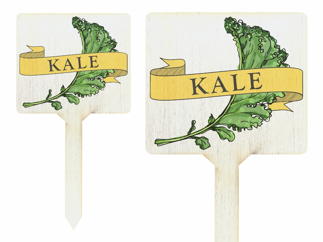 KALE Plant Marker Stake Printed Sign Outdoor Garden Allotment - Etsy UK