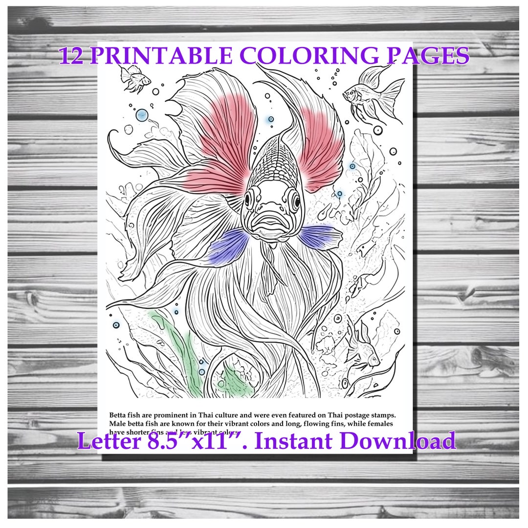 Fish Coloring Pages,betta Fish Coloring Vol 2,beta Fish,12 Digital ...