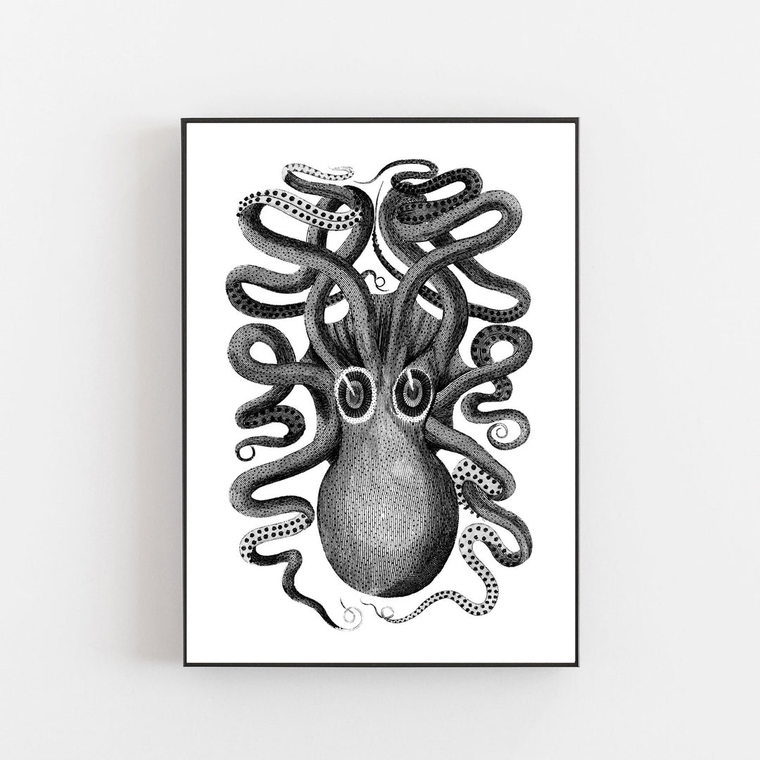 Vintage Fisch Poster, Fisch Poster, Fisch Poster, Fisch Poster, Poster ...