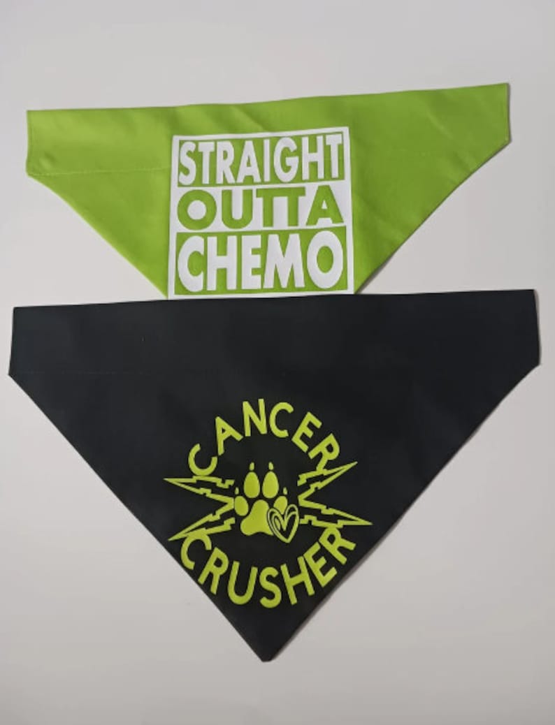 Bandana para perros contra el cáncer, Bandana para perros contra el ...