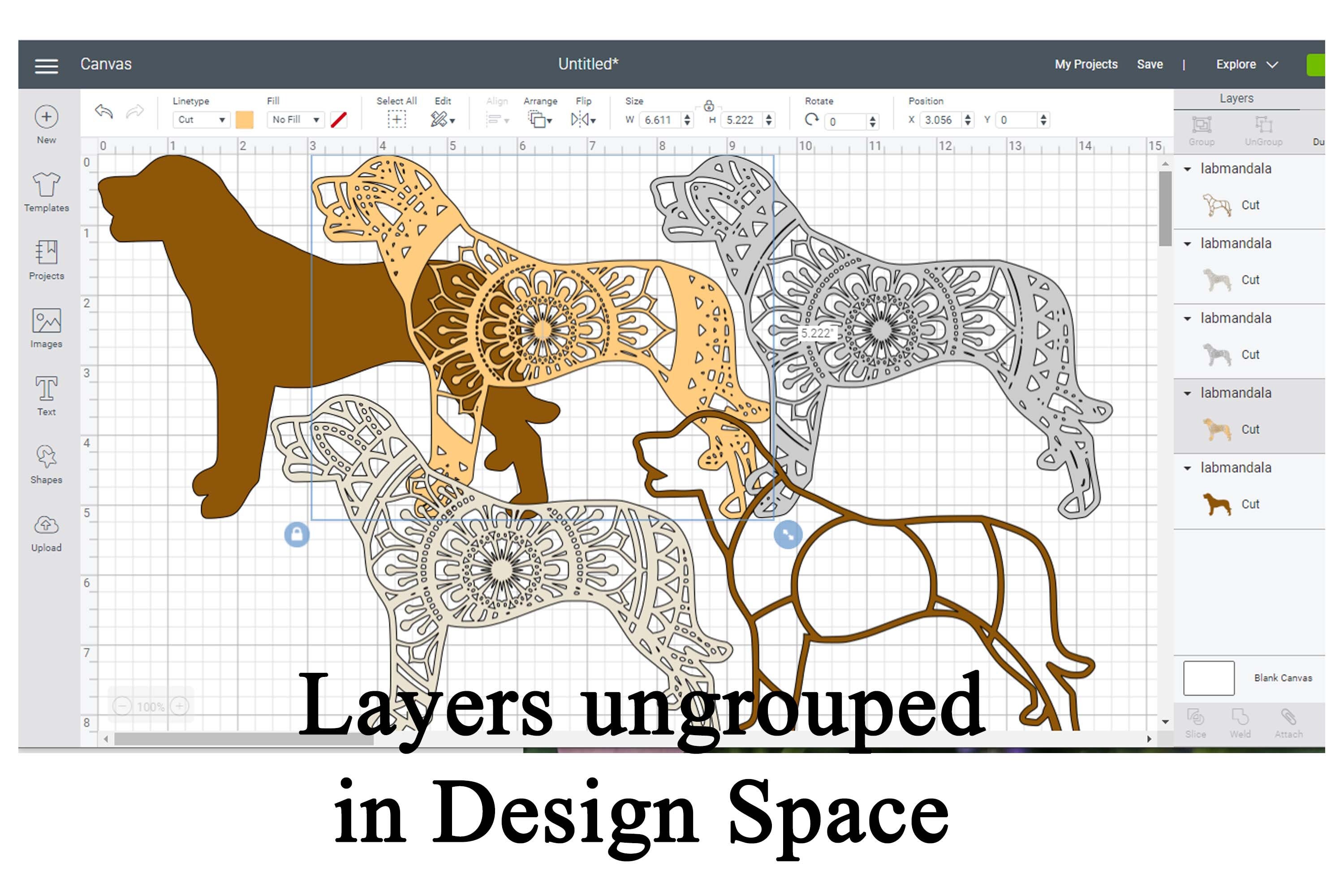 Dog Mandala SVG Layered Mandala Bundle Volume 1 5 Dog Breeds | Etsy
