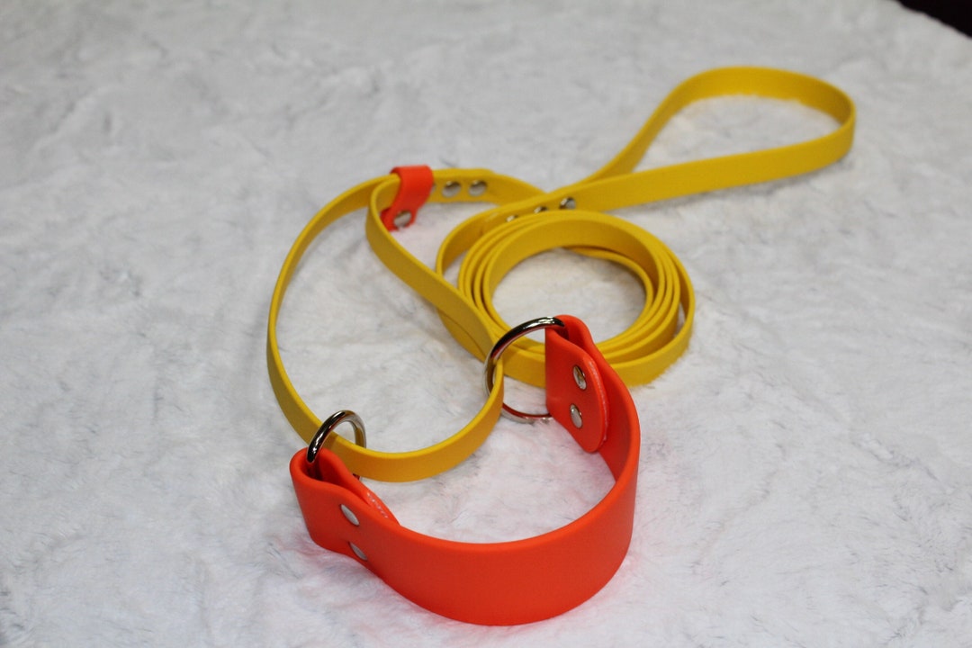 Ready to Ship-martingale Style Leash, French Martingale, Small Dog Size ...