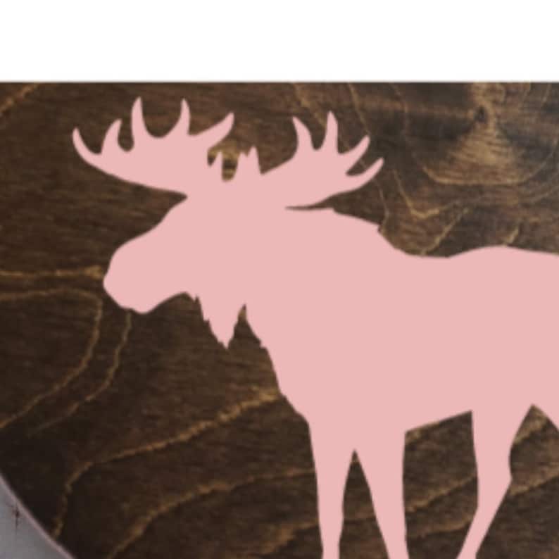 PERSONALIZED MOOSE BABY Name Sign/wooden Name Sign/baby Shower - Etsy