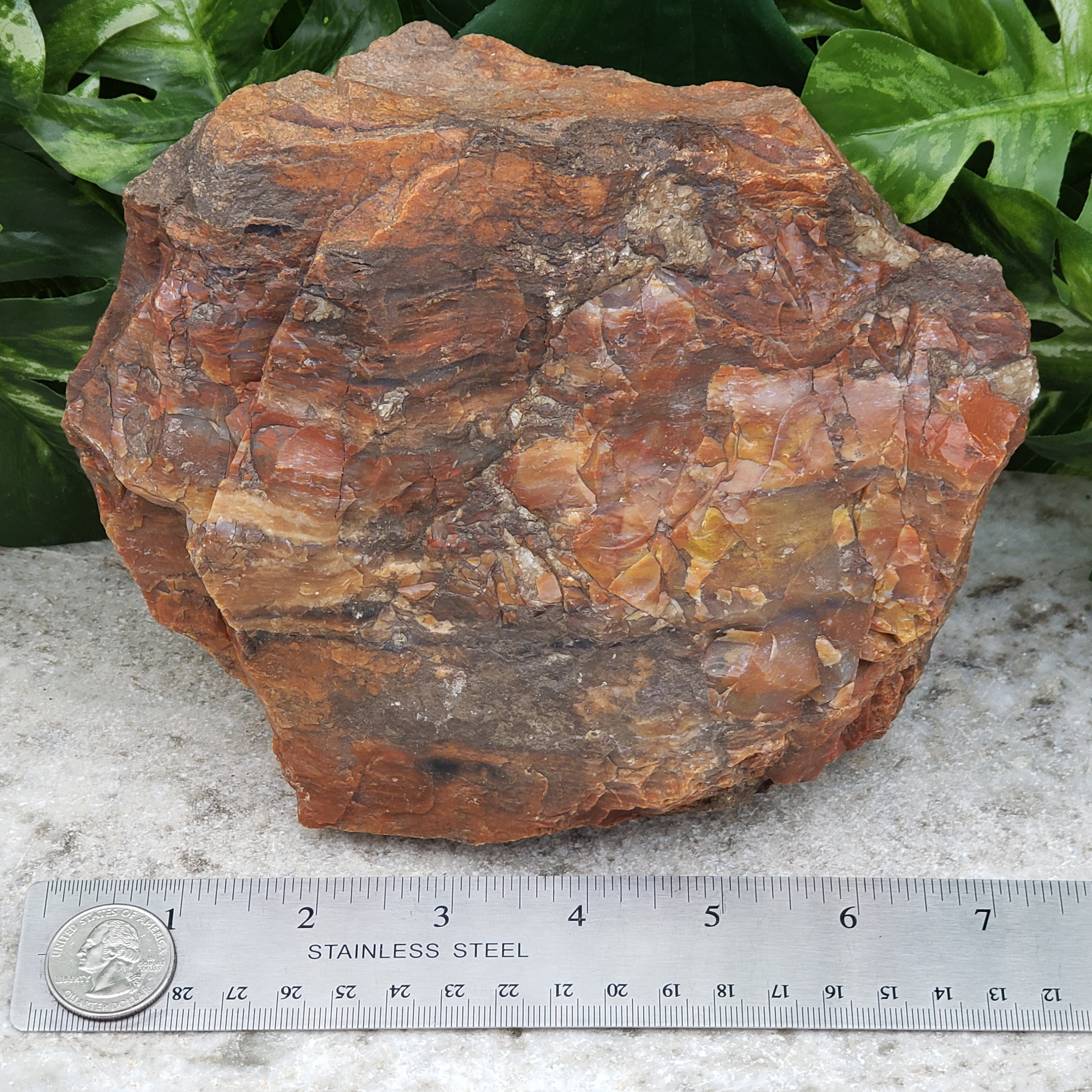 Raw Agate Raw Chalcedony Large 7 Rough Agate Stone | Etsy