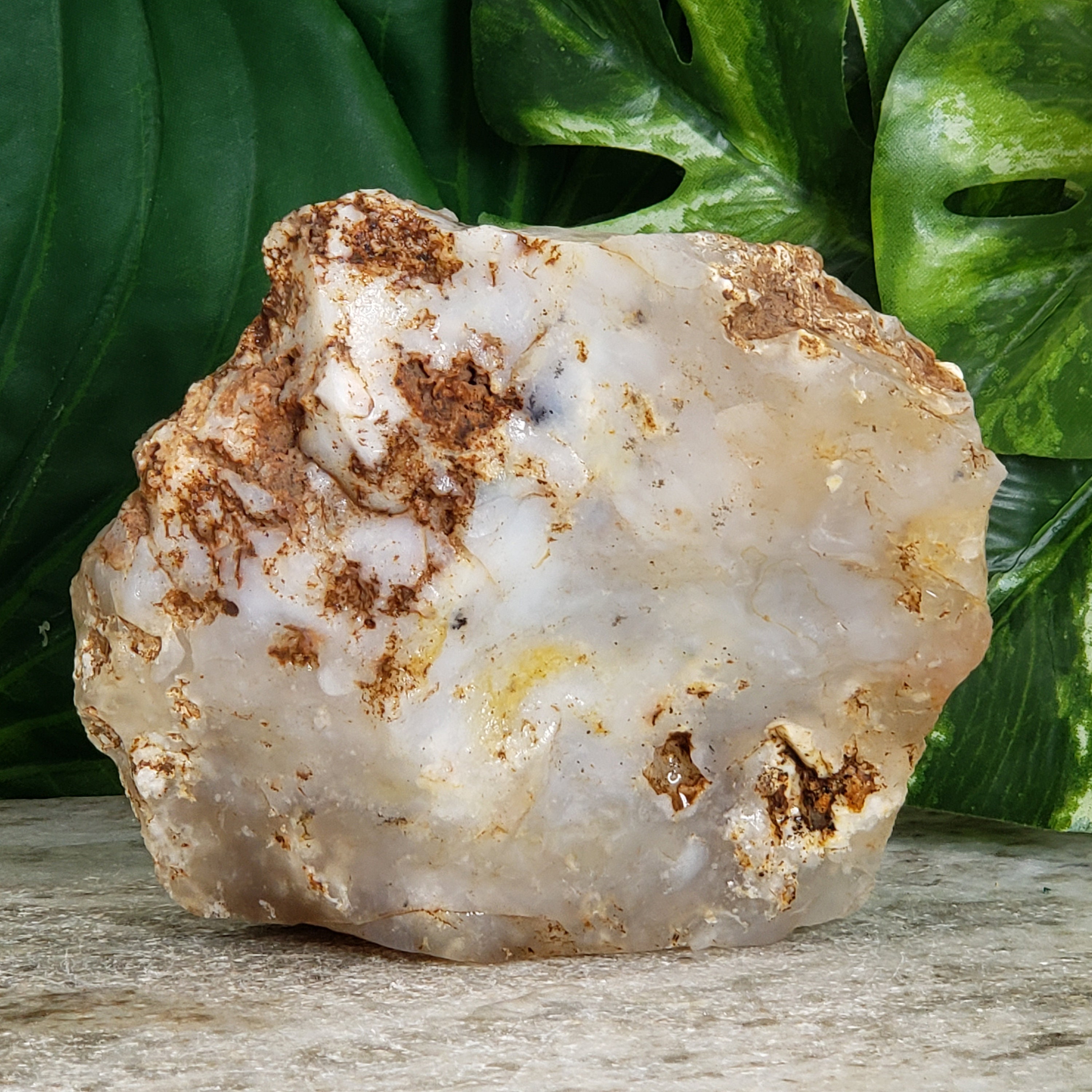 Raw Agate Slice With Raw Chalcedony Clear Dendrite Agate | Etsy