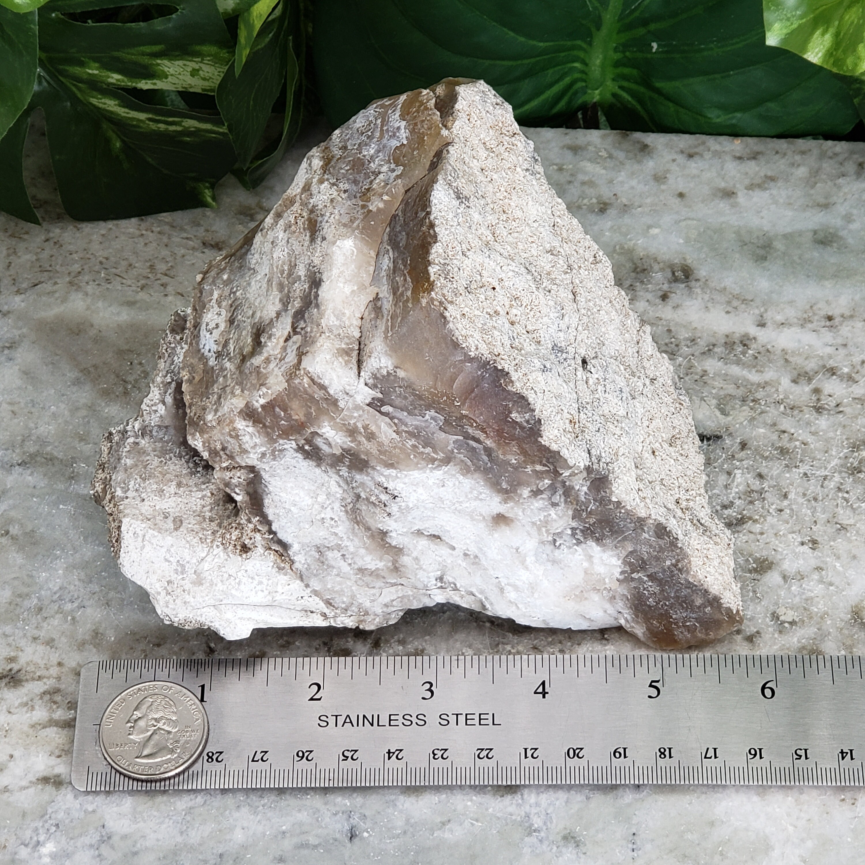 Raw Agate Stone With Dendritic Agate High Quality White | Etsy