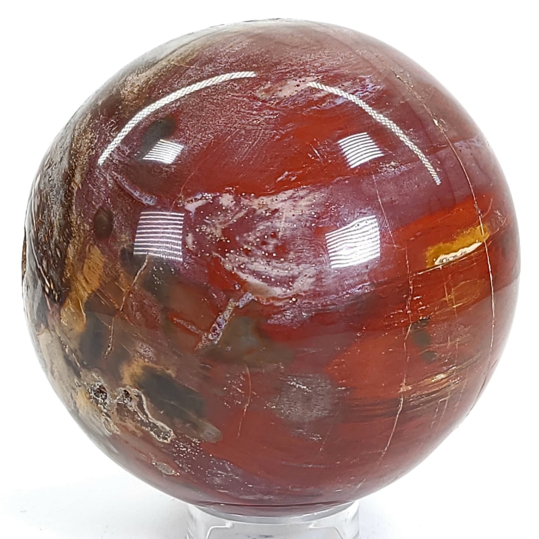Rainbow Petrified Wood Sphere! Extra Large Fossilized Wood Crystal Ball ...