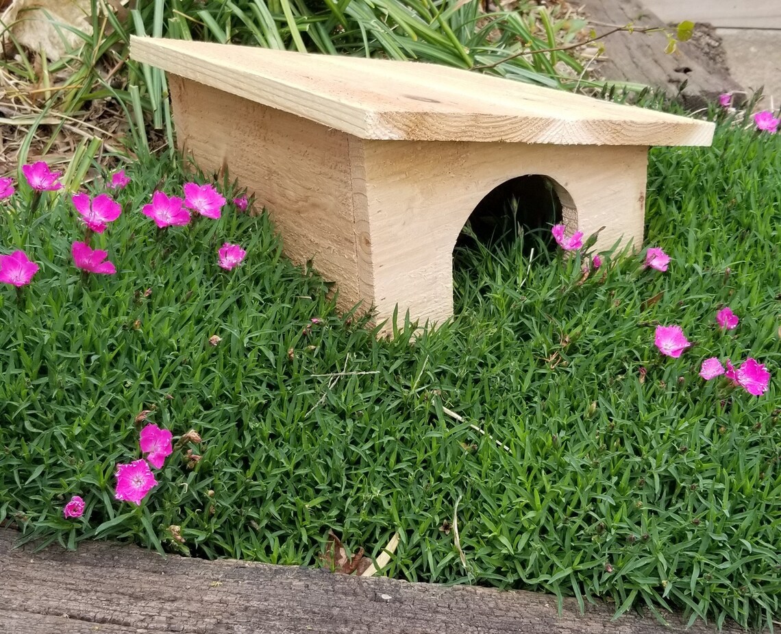 Toad House DIY Kit / Toad home / Kid Craft / Habitat Project / | Etsy
