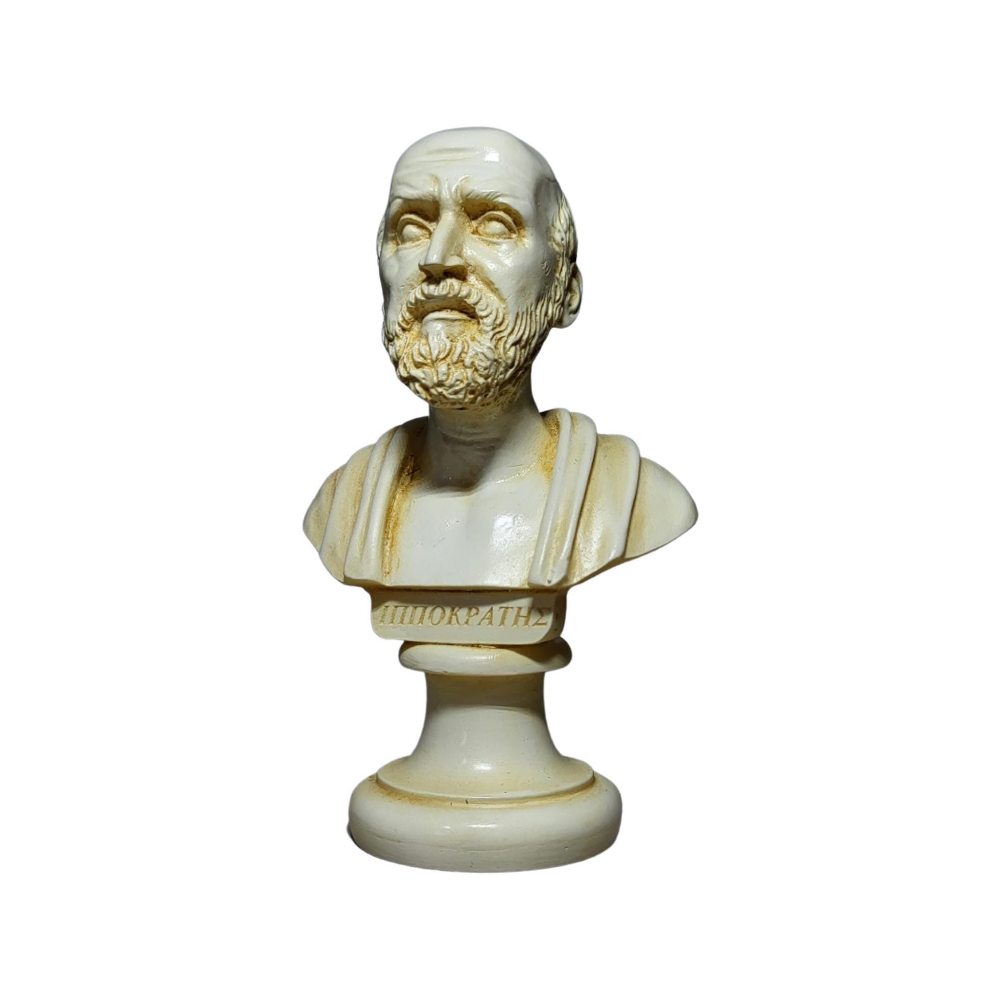 Hippocrates Bust Statue Ancient Greek Physician and Philosopher Patina ...