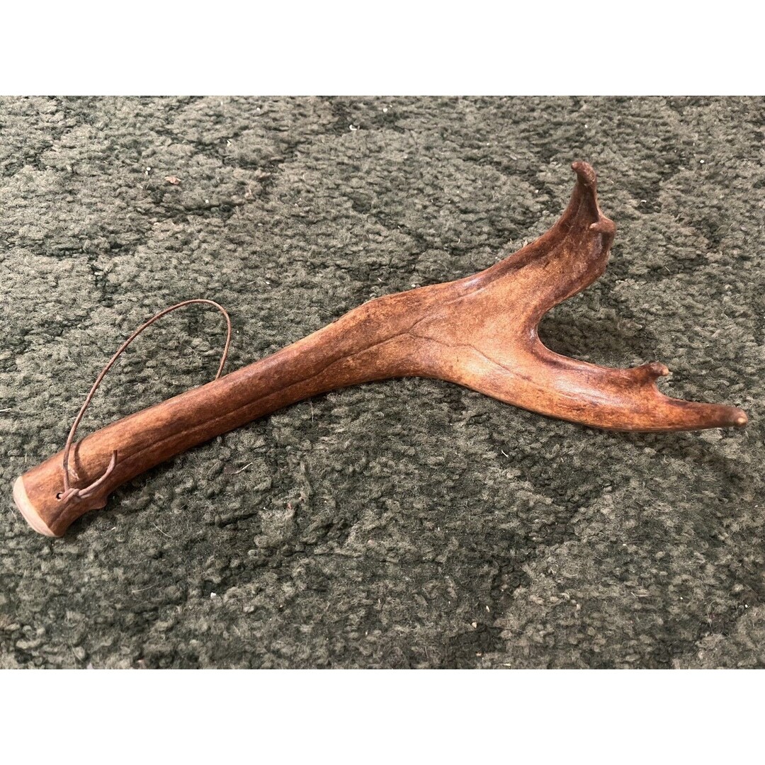 Mule Deer Horns Antlers - Etsy