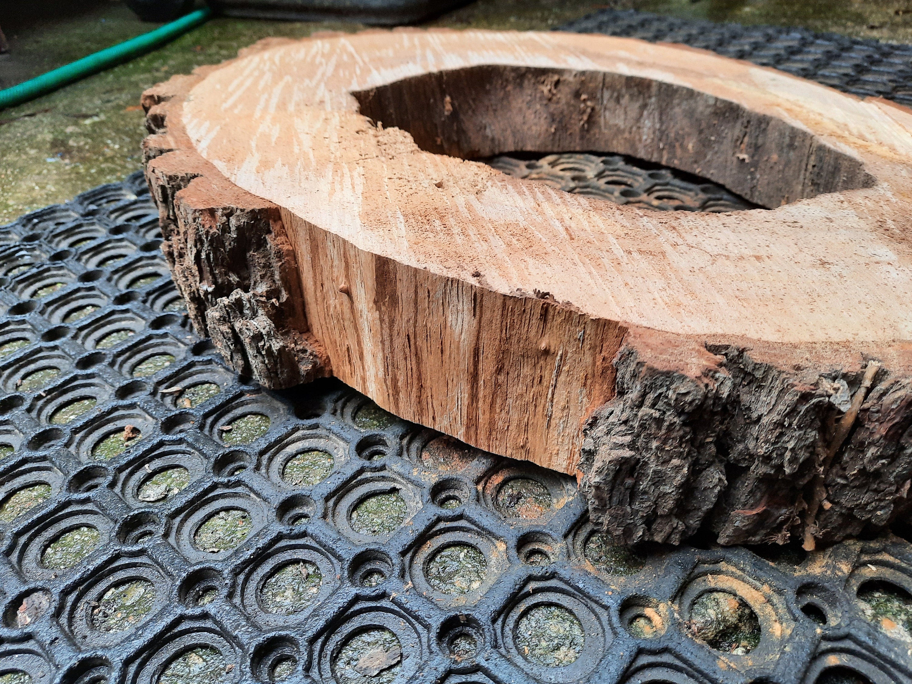 Tree Disc Hollow 55-45 X 8.5 Cm Bush-hammered Alder Branch - Etsy