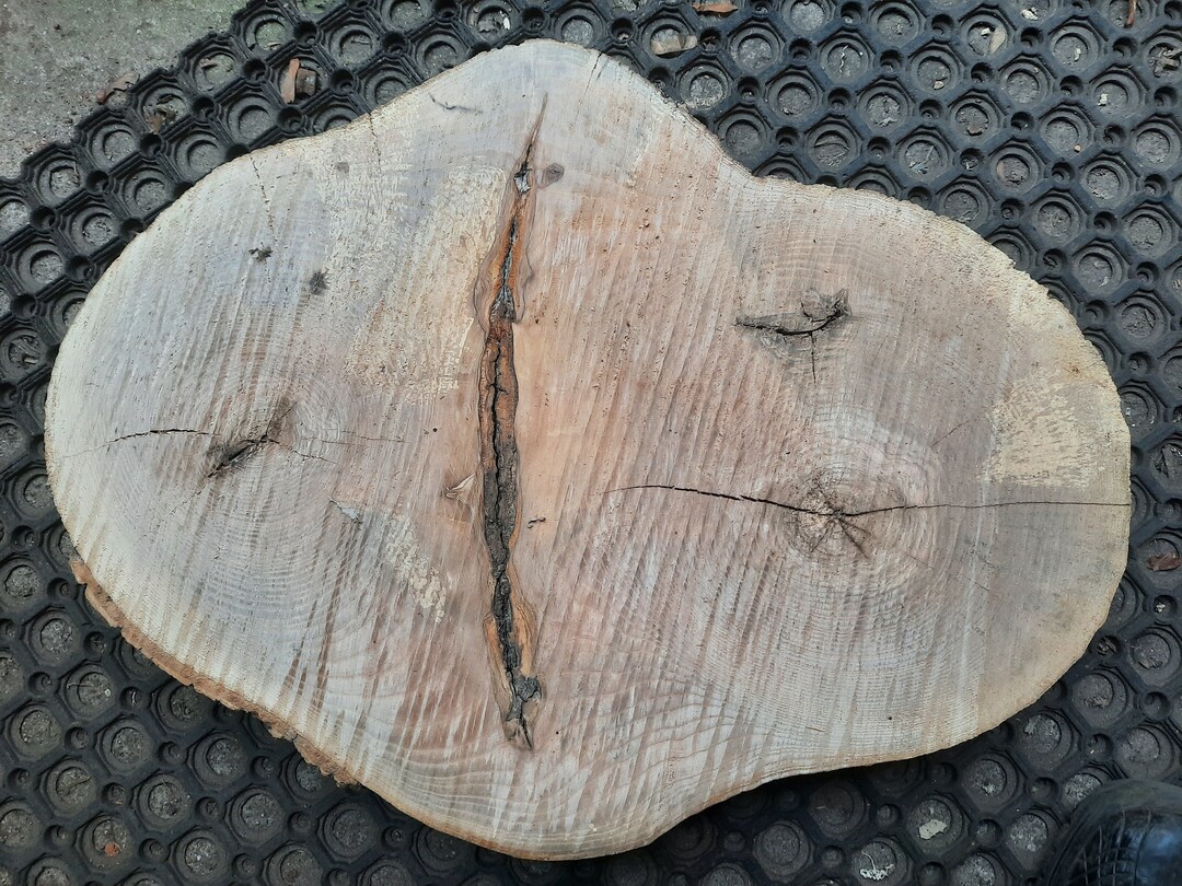 Tree Disc Ash Stump 60 X 45 X 8 Cm Rough Sawn, Wooden Disc Table Top - Etsy