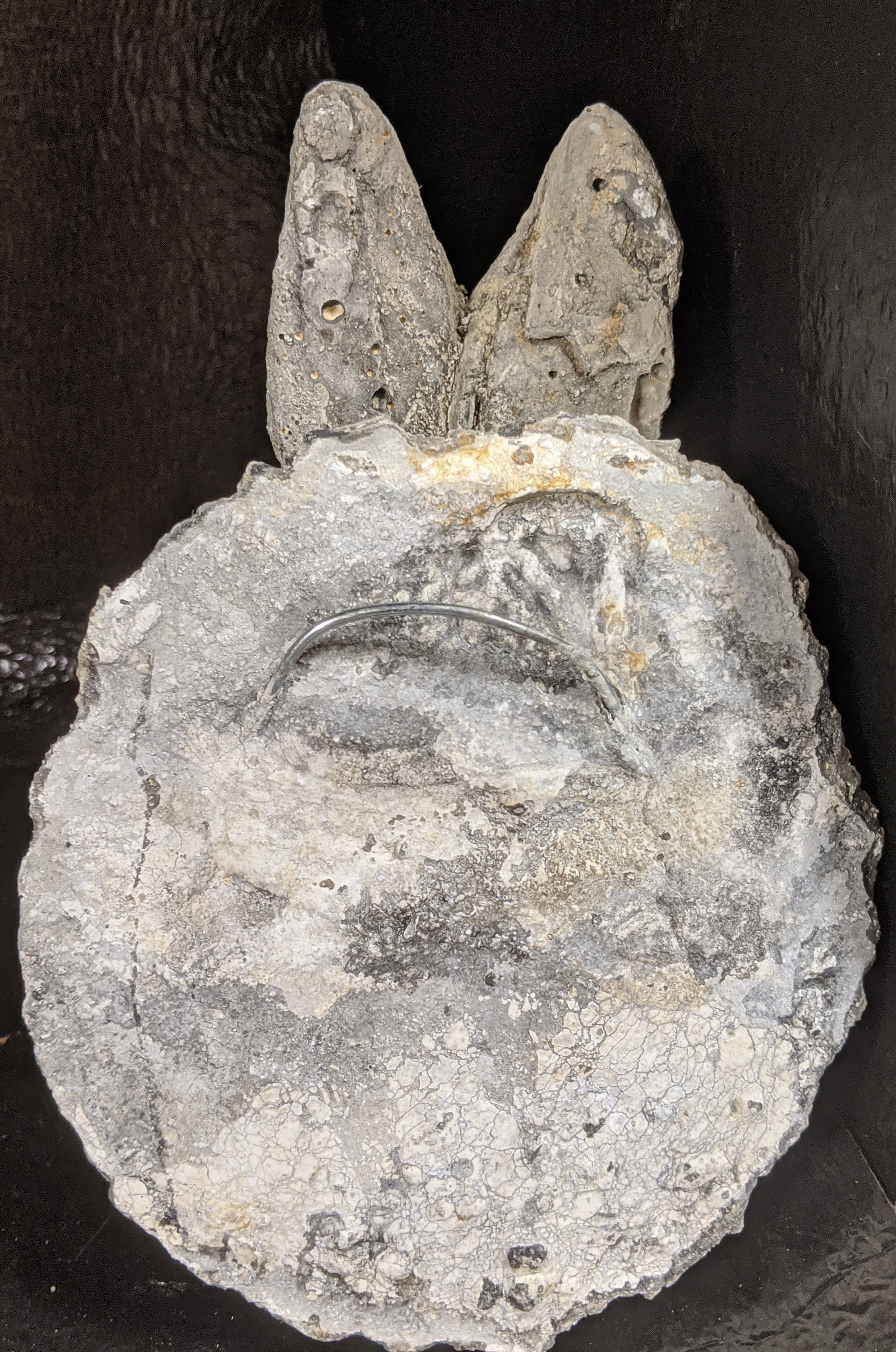 Rabbit Head Plaque - Etsy