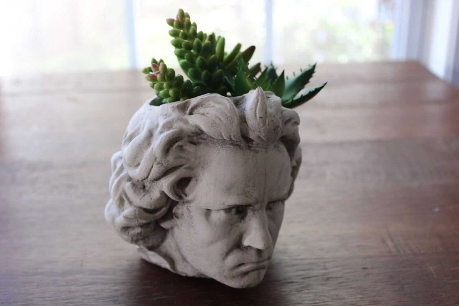 Beethoven Pot Head - Etsy