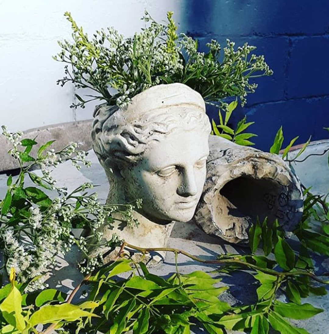 Diana Head & Neck Pot - Etsy