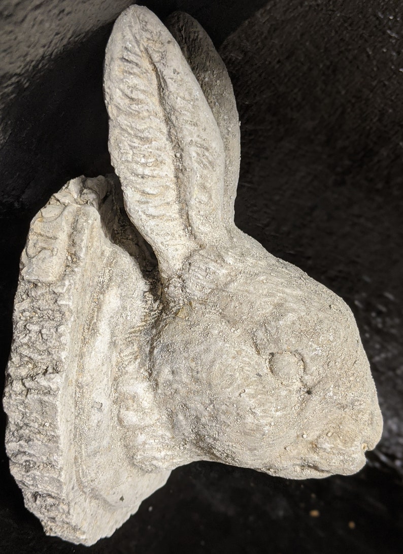 Rabbit Head Plaque - Etsy