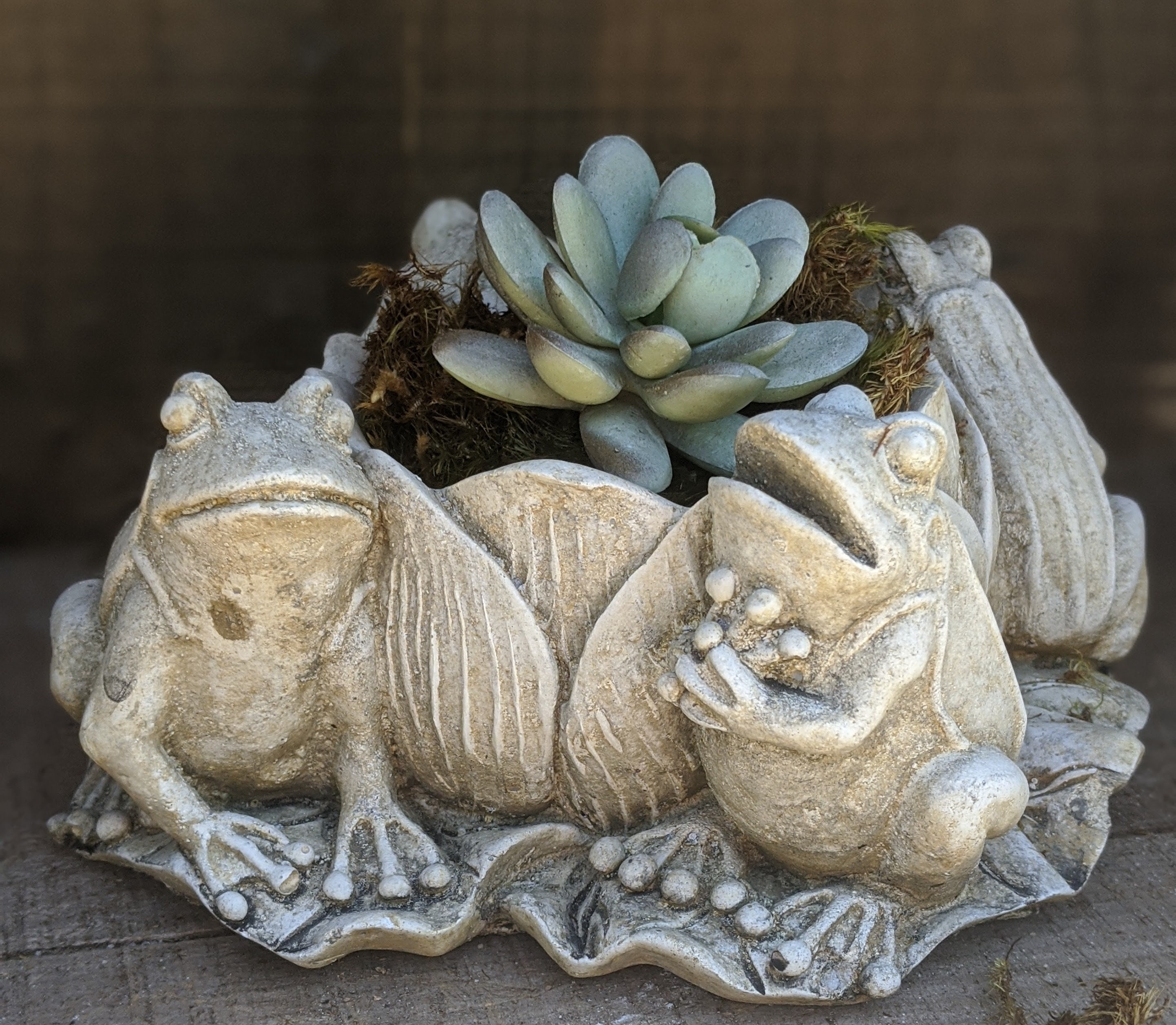Frog Pot - Etsy