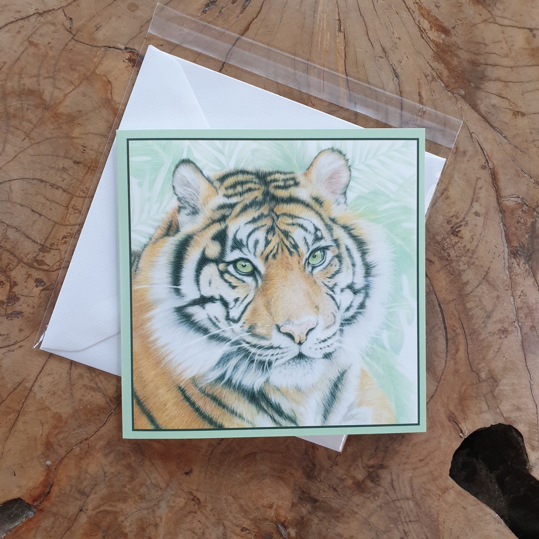 Big Cat, Tiger Blank Greeting Card. Wild Tiger. Wildlife Birthday Card ...