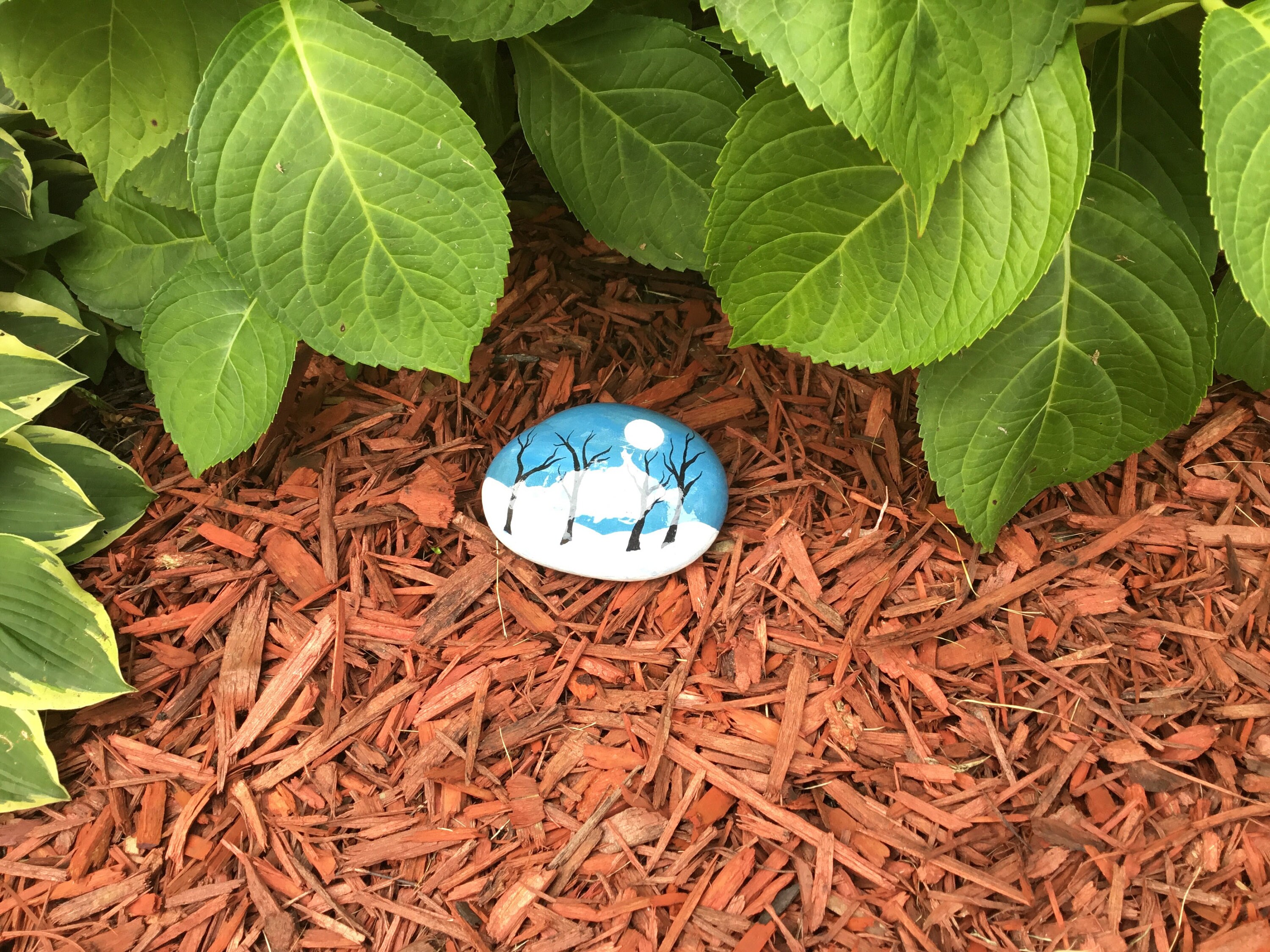 Winter Night - Painted Rock - Etsy