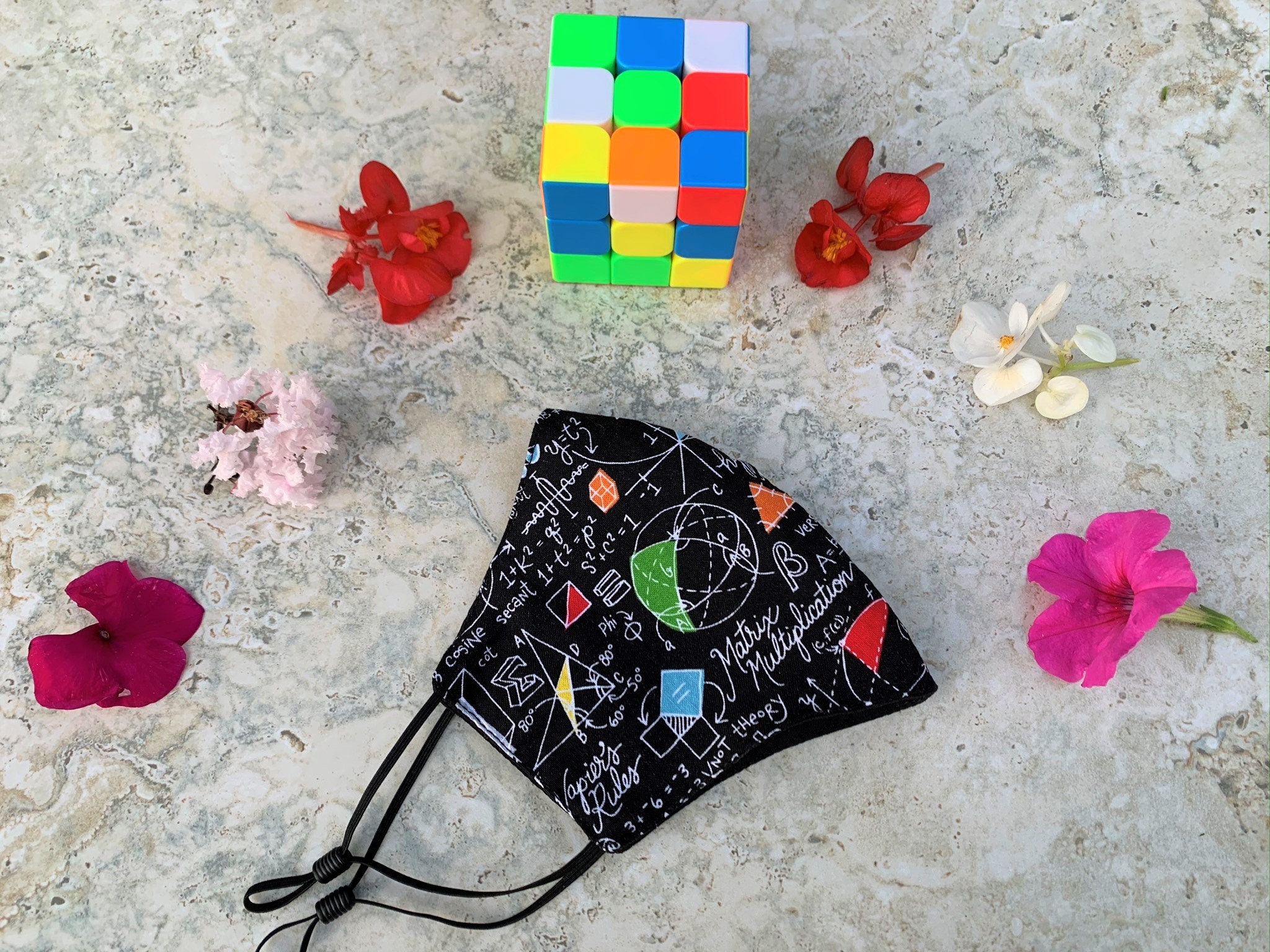 Mathematics Face Mask STEM Mask Math Facemask Formula - Etsy UK