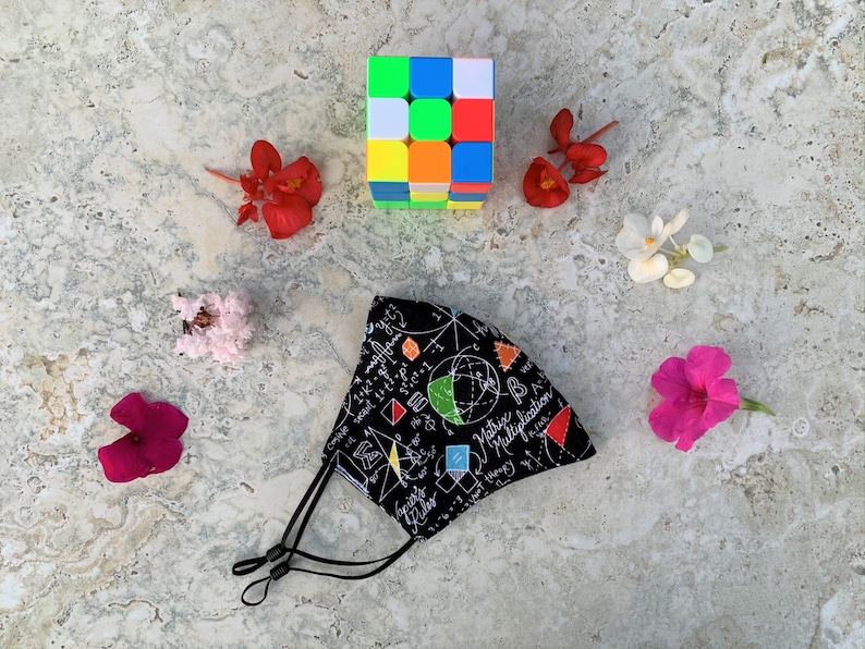 Mathematics Face Mask STEM Mask Math Facemask Formula | Etsy