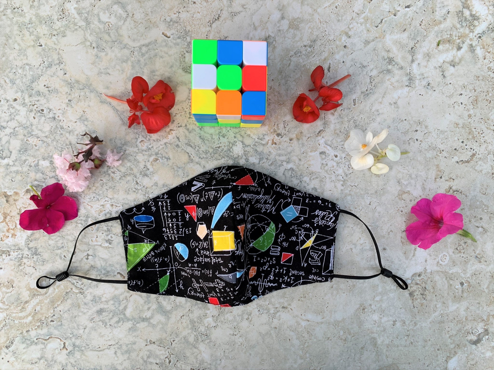 Mathematics Face Mask STEM Mask Math Facemask Formula - Etsy UK