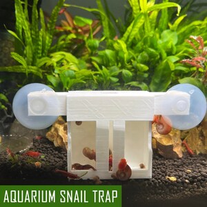 Snail Trap for Aquarium, Pest Snails Catcher Overnight, Leave Trap in ...
