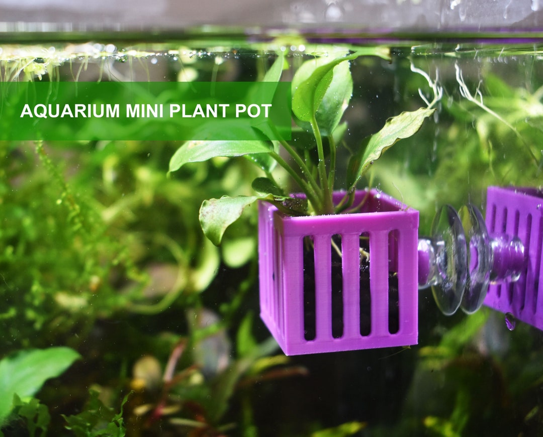 Mini Plant Pot for Aquarium Fish Tank. Aquarium Plant Pot for Fish Tank ...