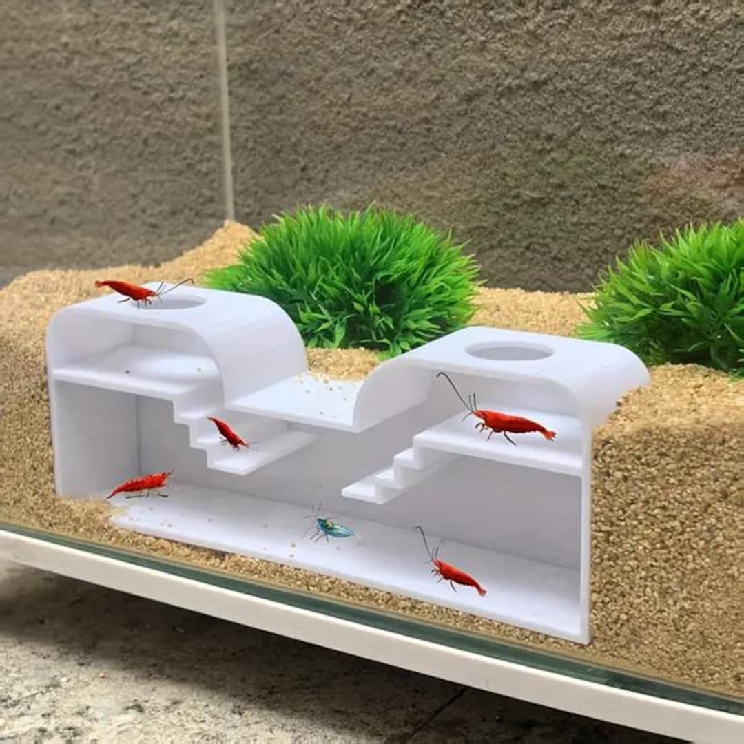 Aquarium Shrimp Rental Studio. Large Shrimp Studio for Rent. All-inclusive Facility. Luxury ...