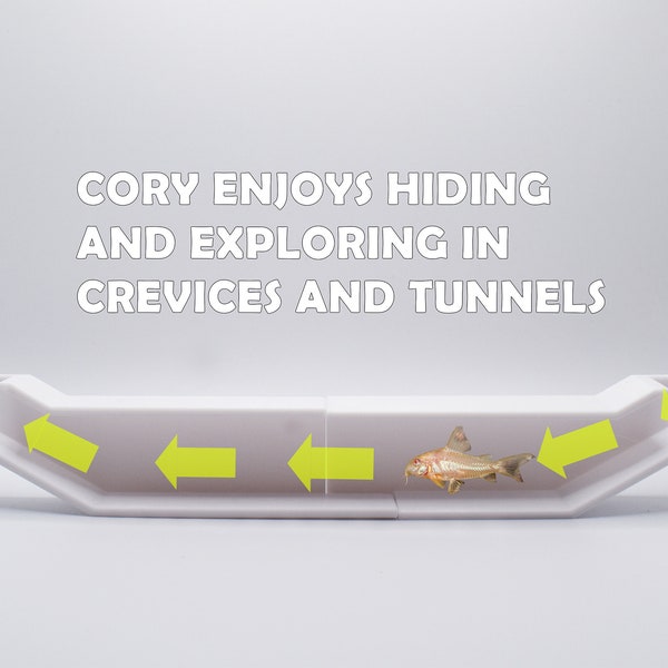Fish Tunnel - Etsy